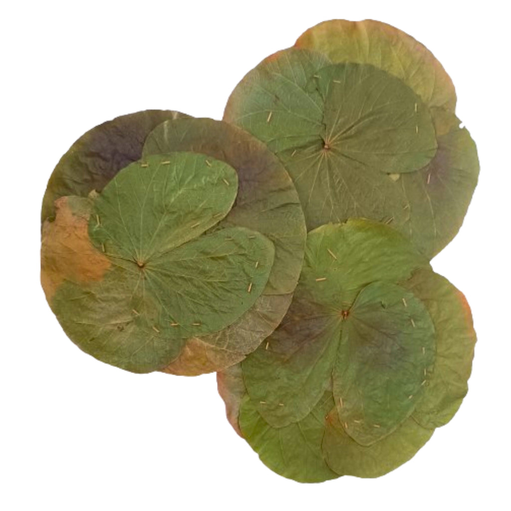 Leaf Patrawali Handmade by SHG Women – KHUSHI SHG | Eco-Friendly Plate